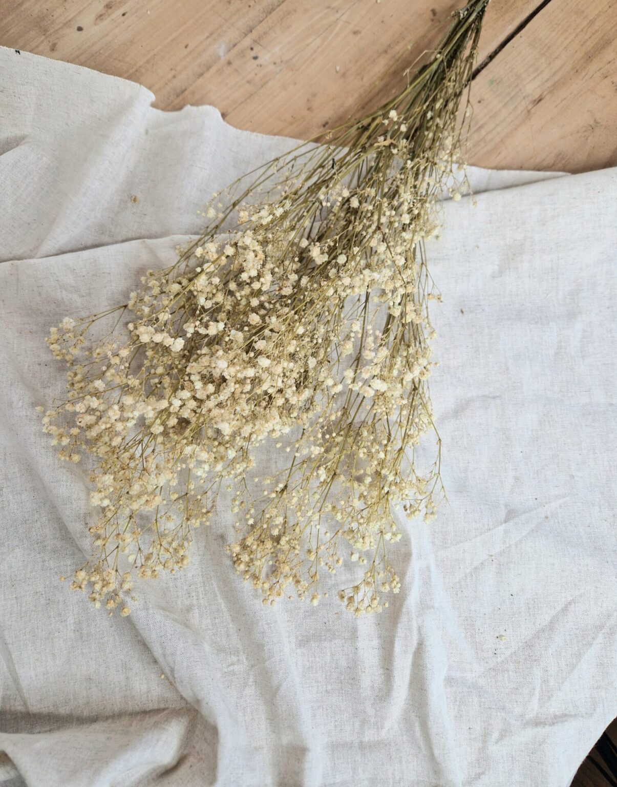 Bouquet de Gypsophile stabilisé - Unikfactory