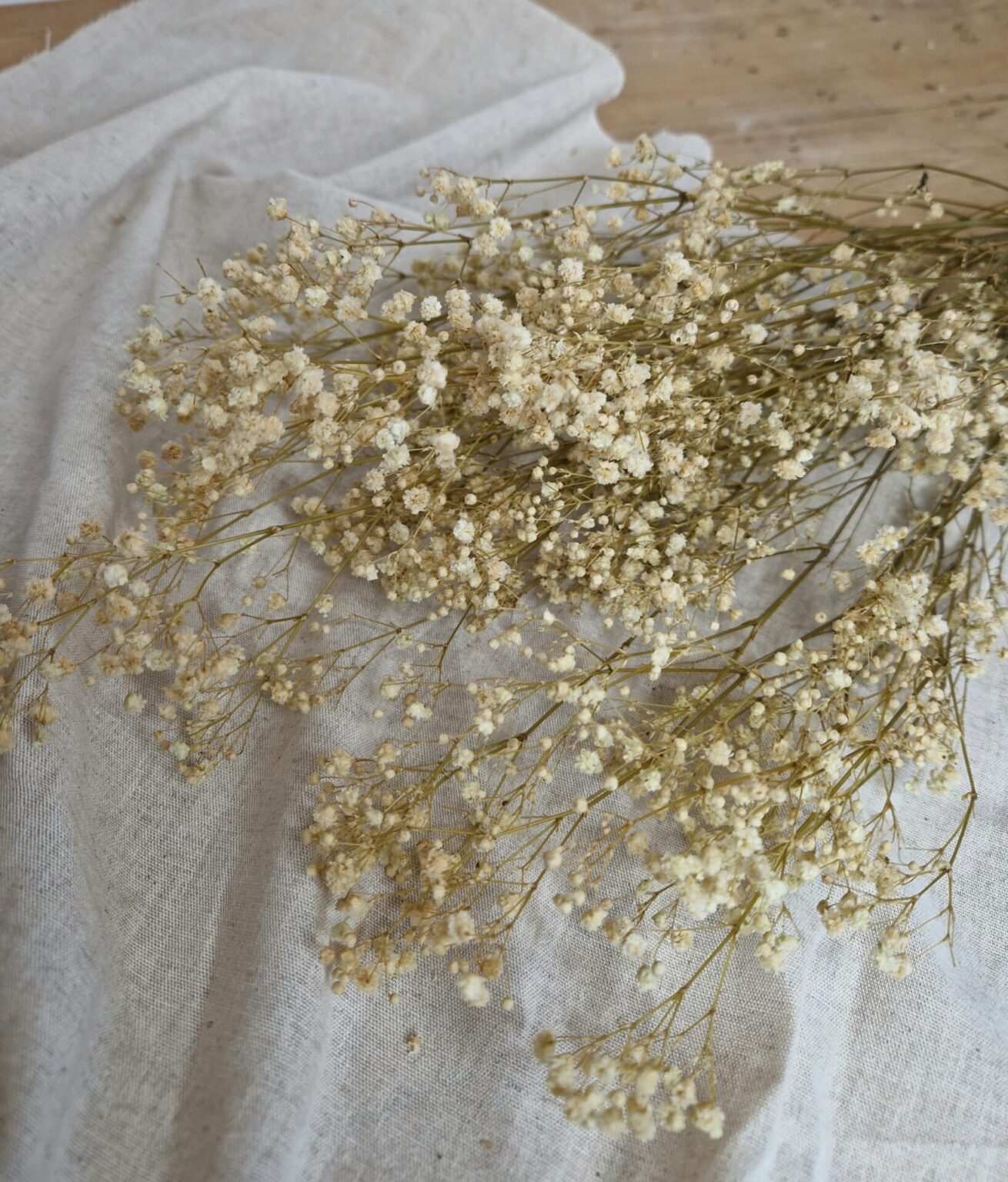 Bouquet de Gypsophile stabilisé - Unikfactory